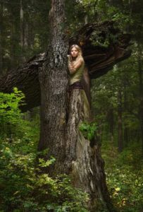 Elfos: qué son, mitología dones, tipos, historia y mucho más